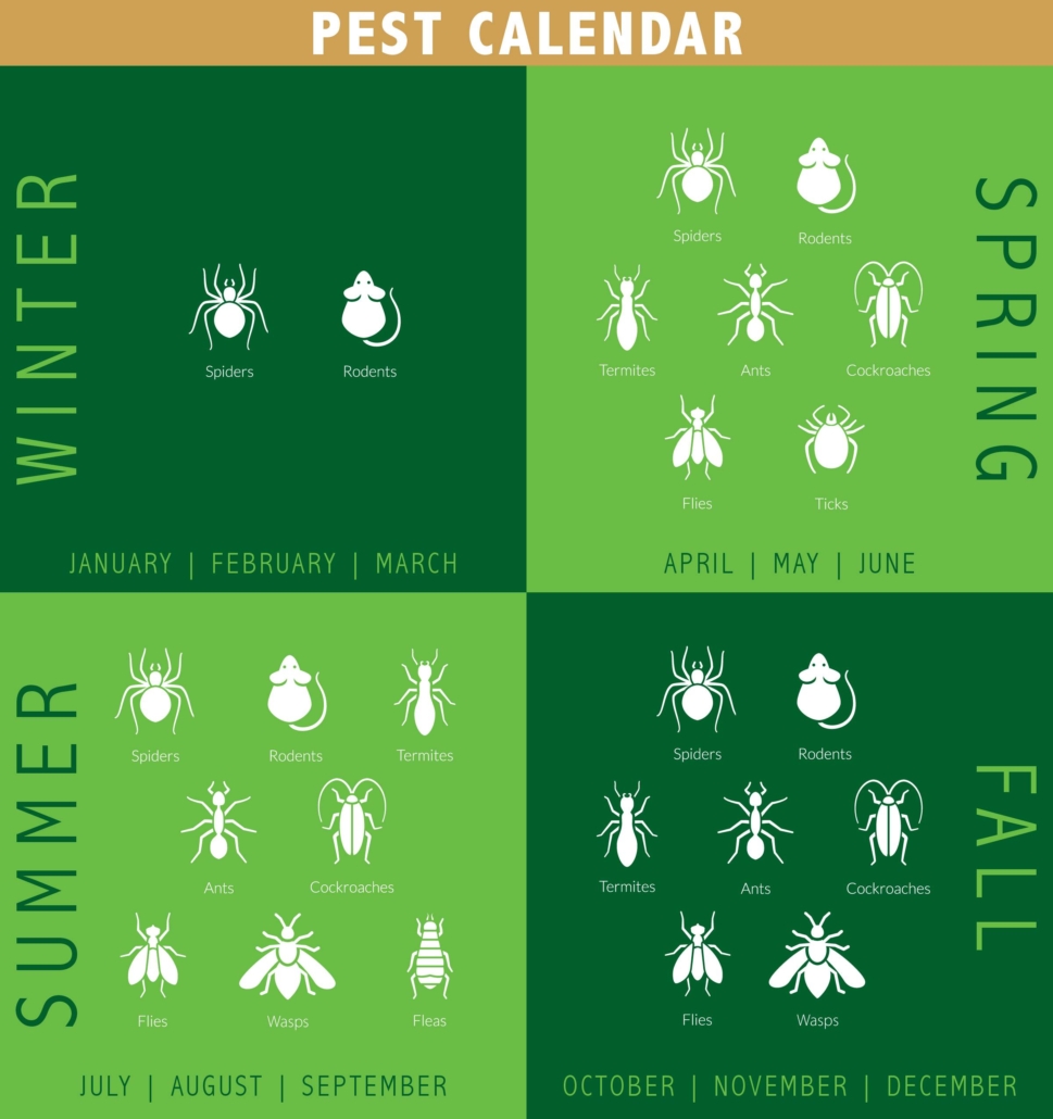 Pest Control Services in Massachusetts - GreenHow