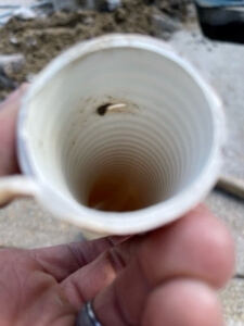Do Termites Eat Pool Pipes? - GreenHow